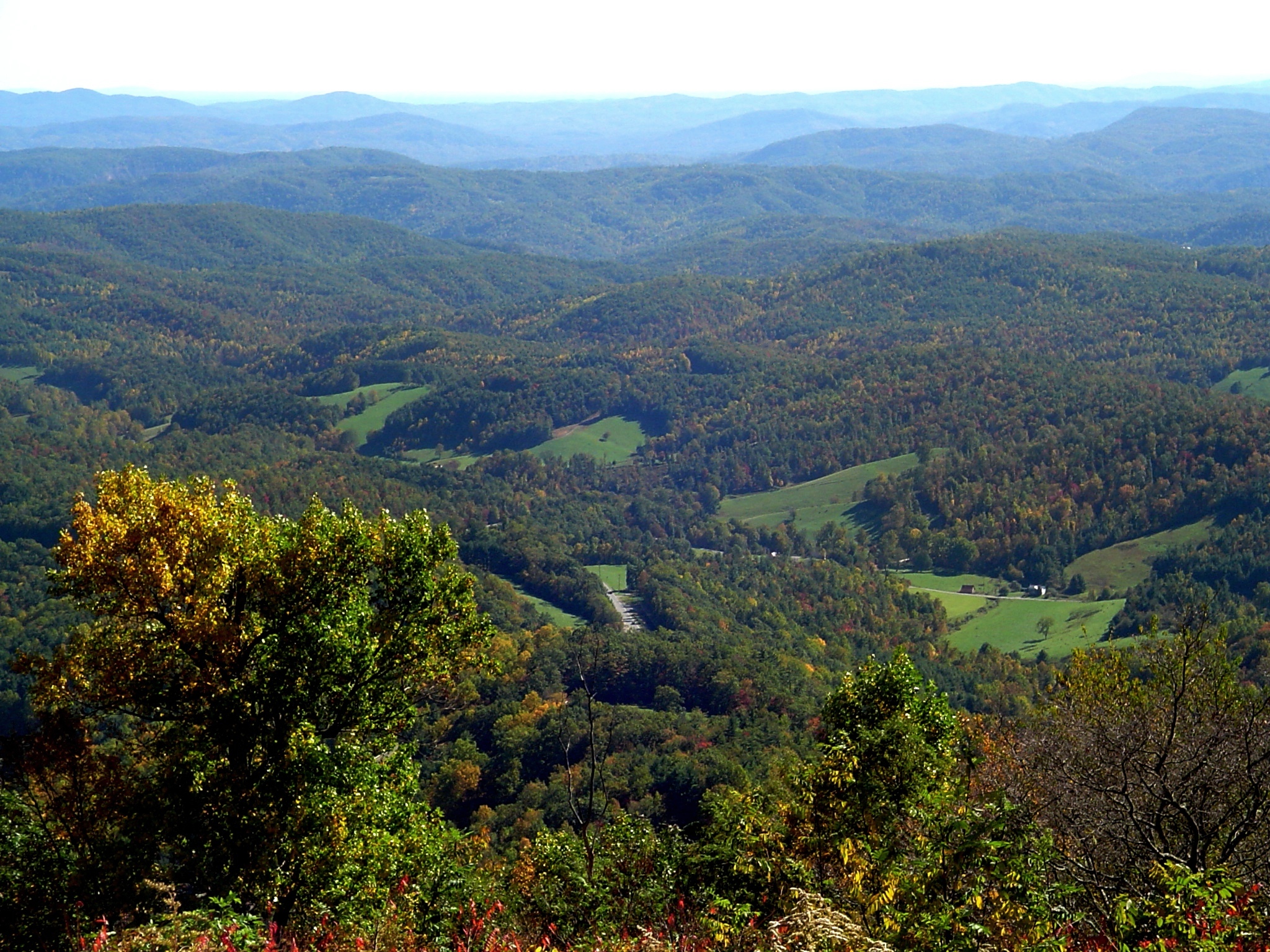 March | 2009 | Yadkin Valley Home